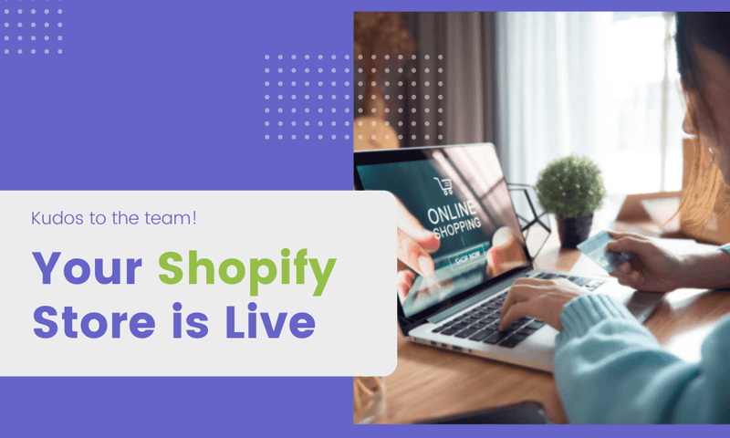 How to Make Your Shopify Store Live | Step-by-Step Tutorial - LogBase